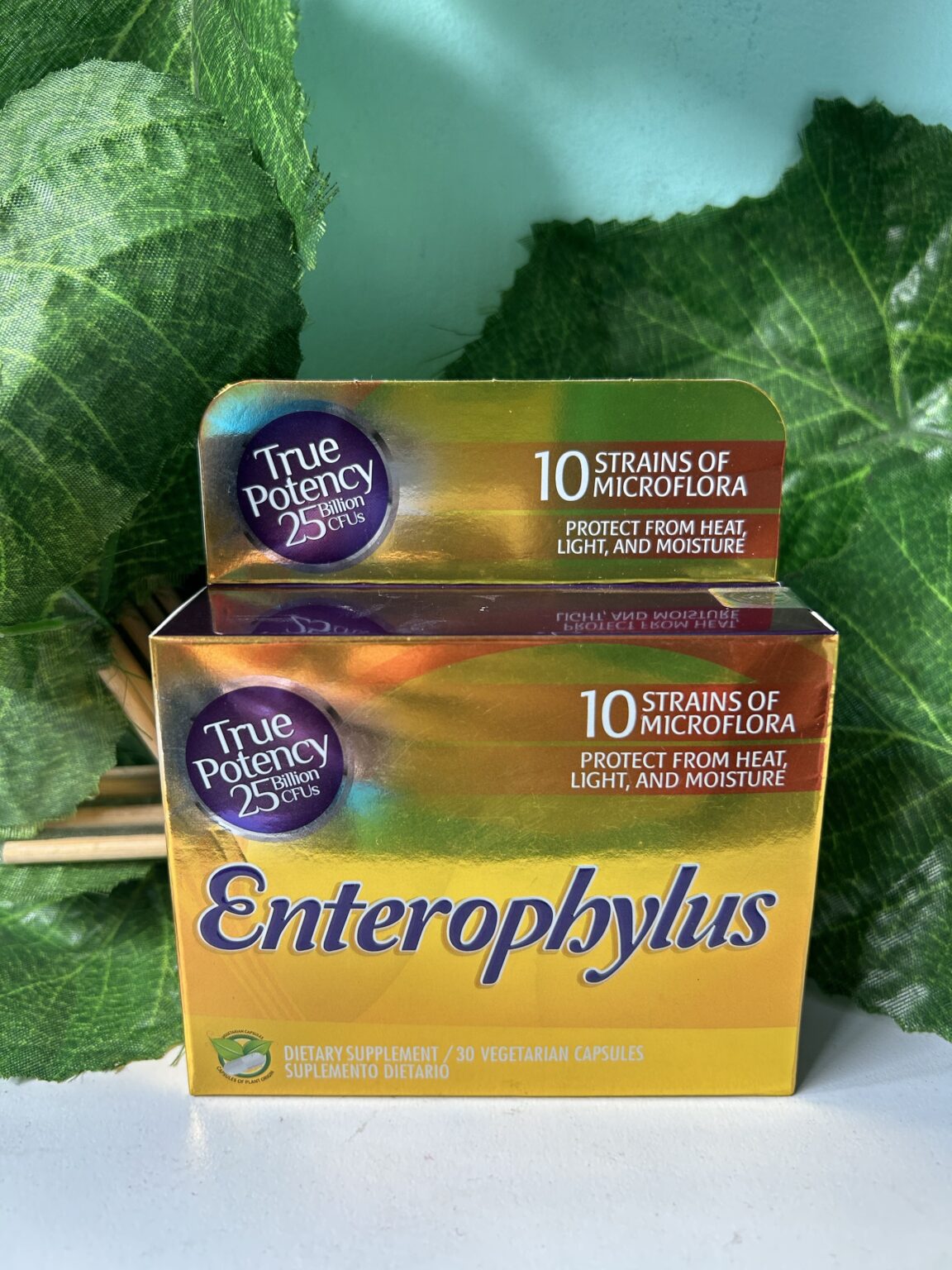 ENTEROPHYLUS PROBIOTICOS HEALTHY AMERICA - Jardín Encantado