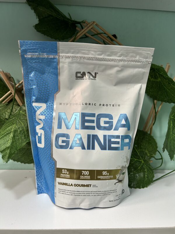 MEGA GAINER PROTEINA - Jardín Encantado